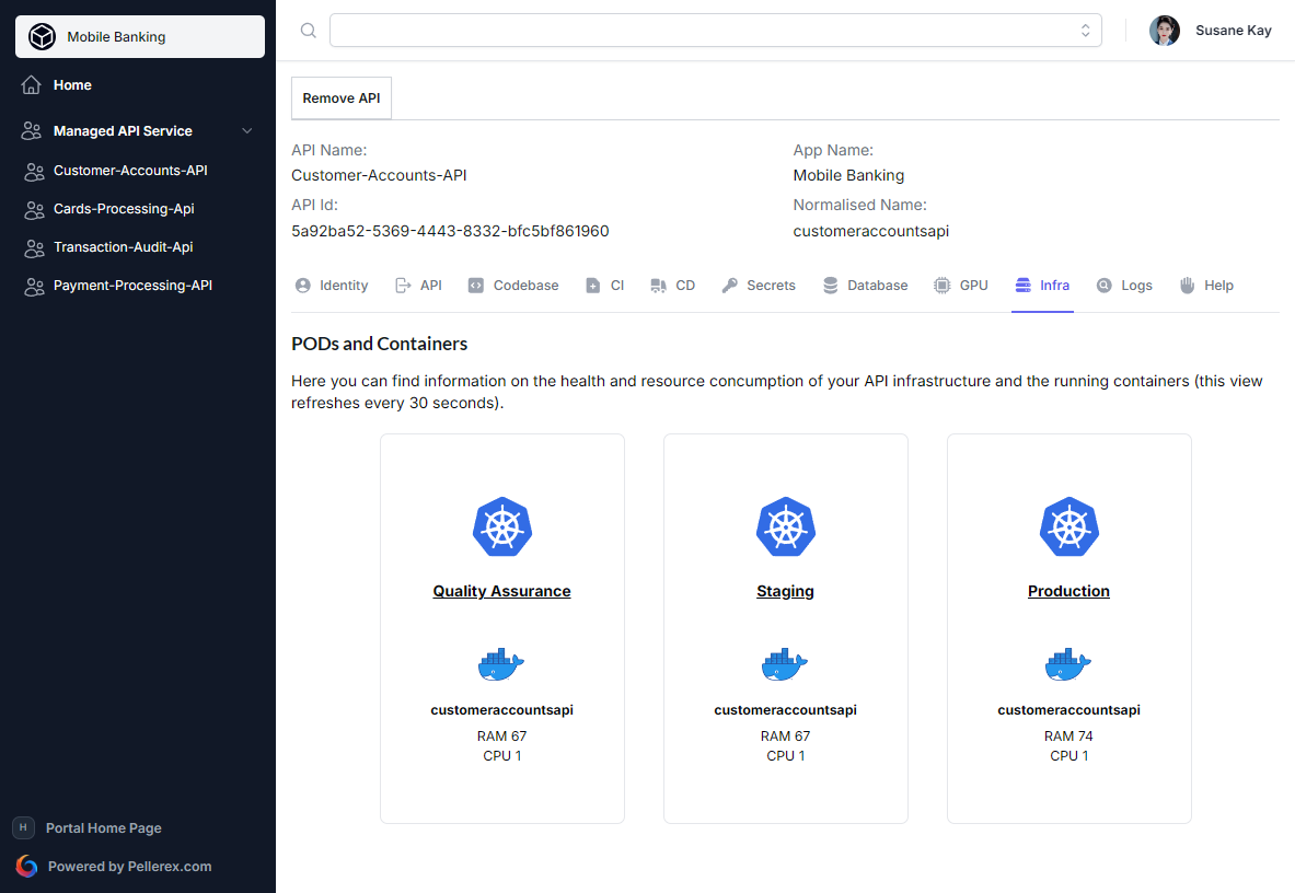 Pellerex | AI-Powered Enterprise NoOps (PaaS + IDP) Pellerex | AI-Powered Enterprise NoOps (PaaS + IDP)